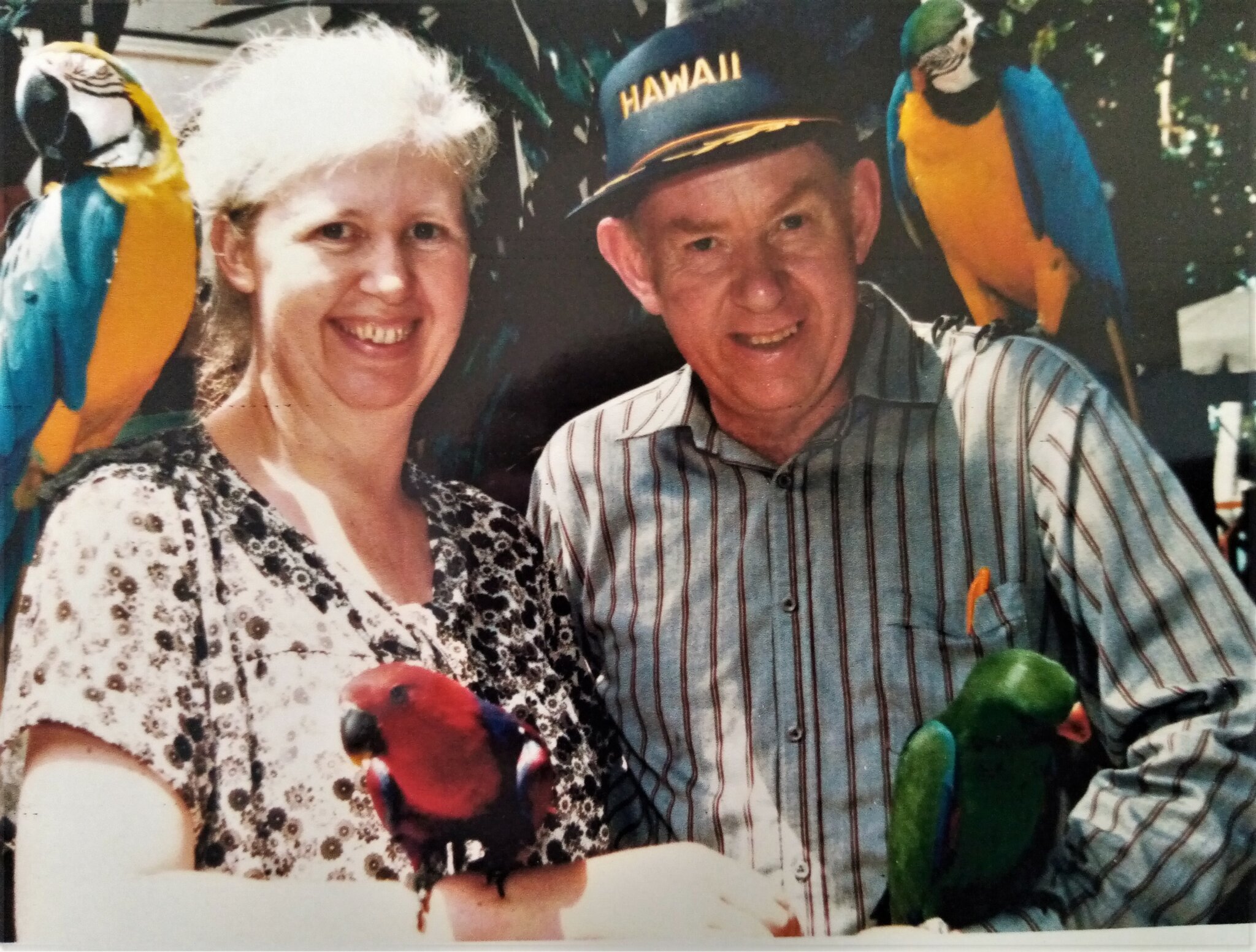 Giltrap’s time to shed | Cambridge News