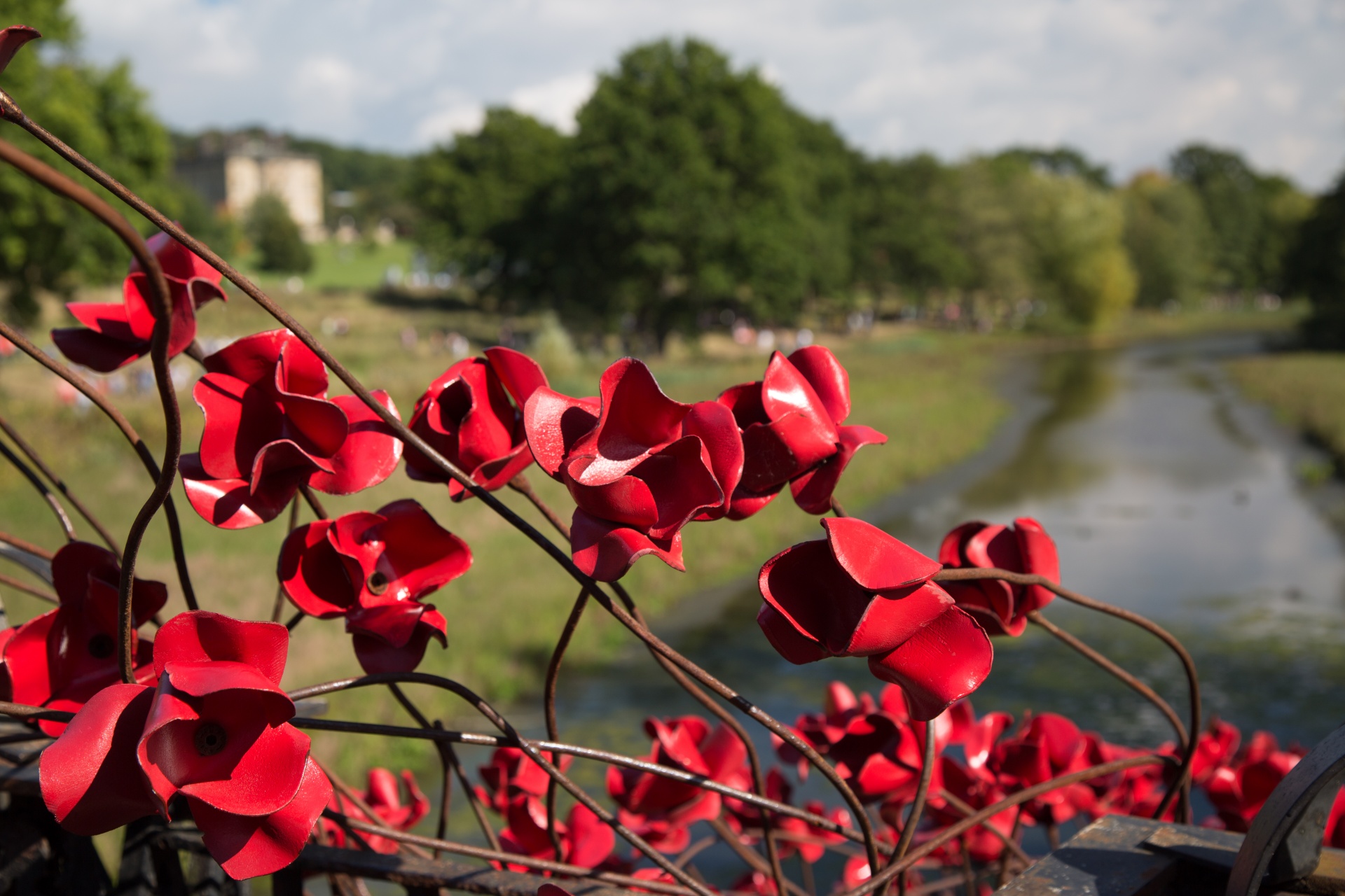 Lest we forget | Cambridge News
